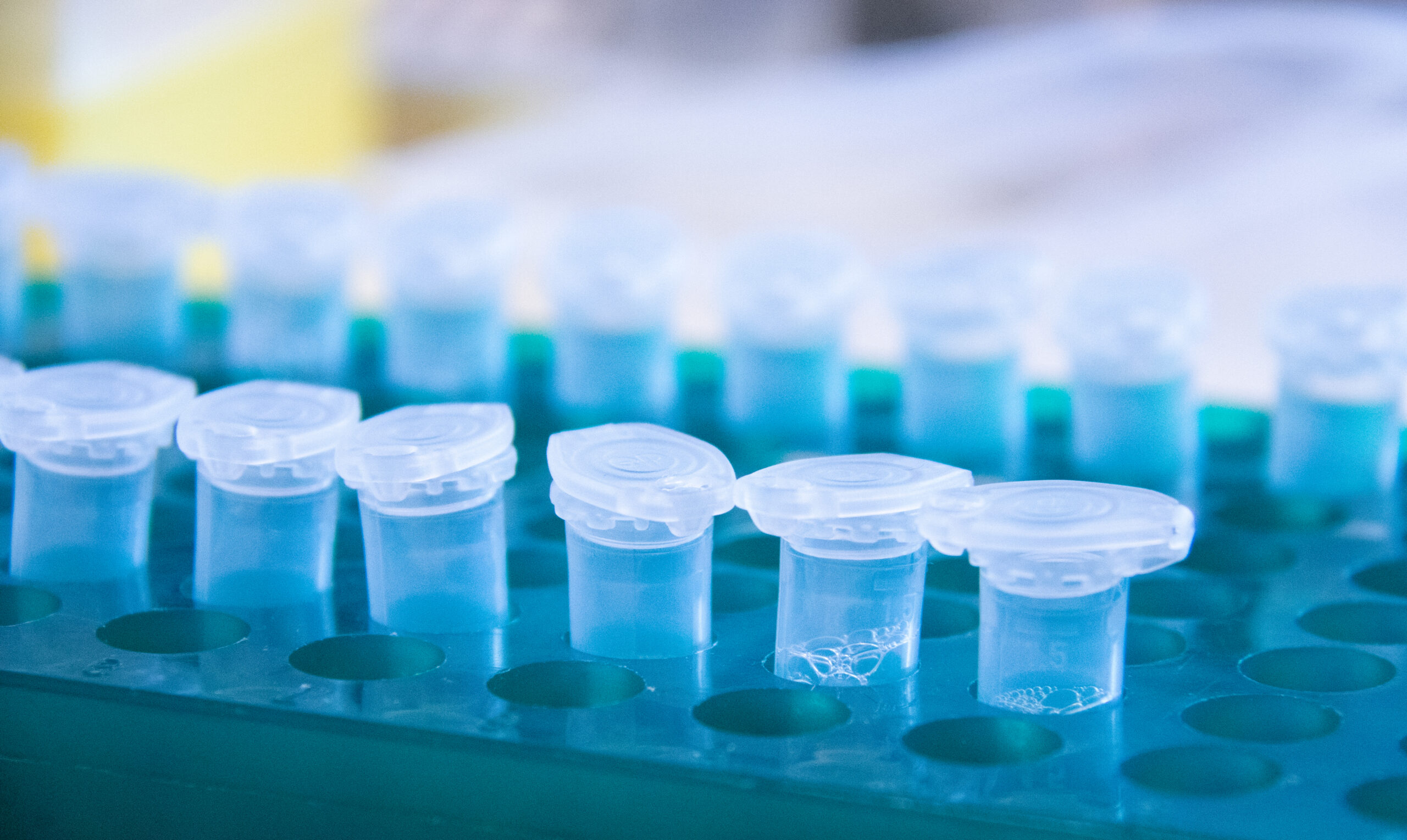 Single-Cell Core - Providing single-cell genome sequencing services